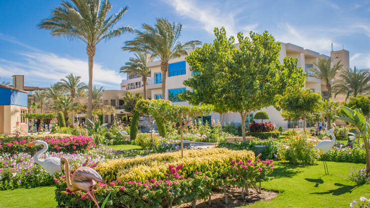 Seagull Beach Resort, Hurghada 2026/2027 – Luxury Egypt Holidays