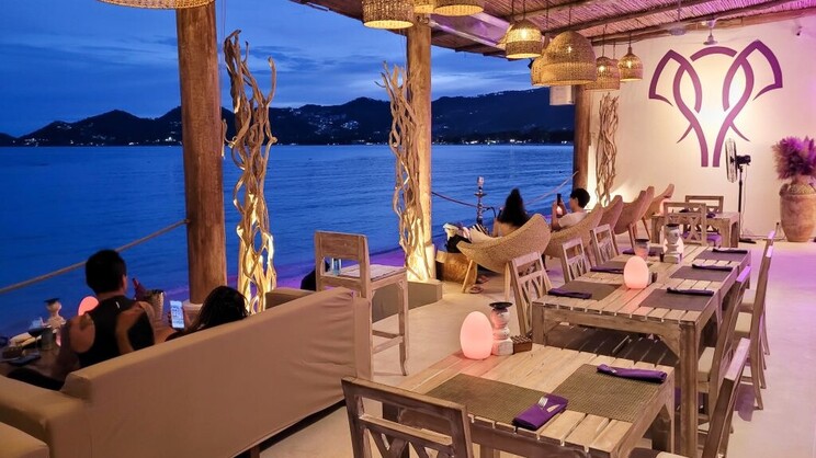 Elephant Beach Resort 2026/2027 – Hotel
