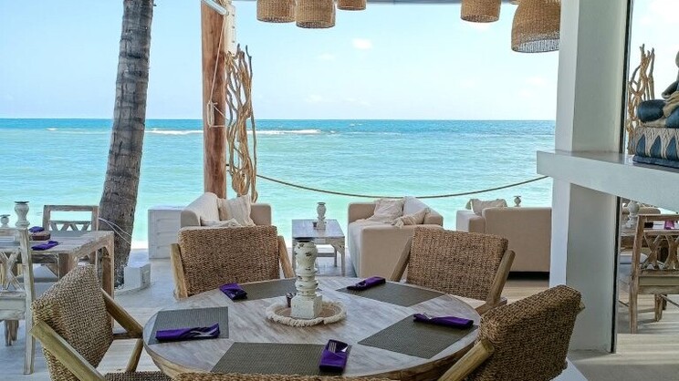 Elephant Beach Resort 2026/2027 – Hotel