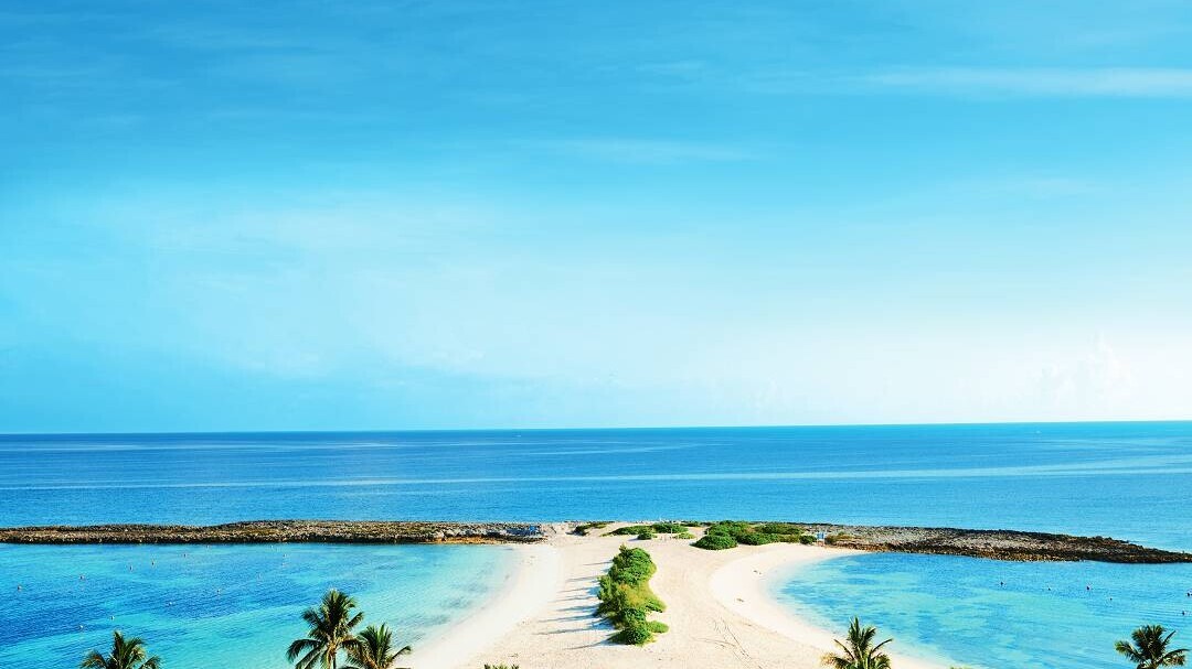 The Reef Atlantis 2026/2027 – Hotel