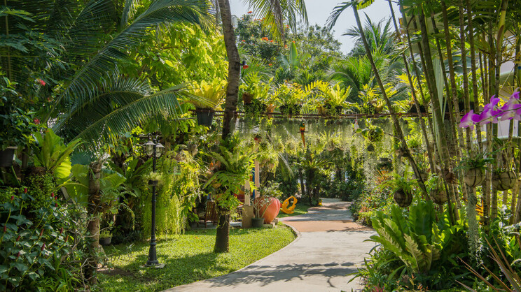 Matcha Samui Resort, Thailand 2026/2027