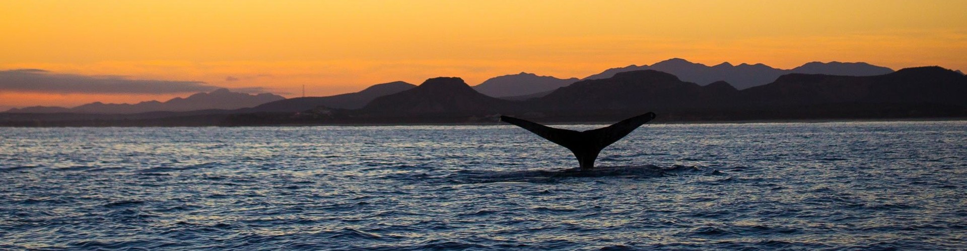 Learn More About The Nine Natural Wonders of Mexico