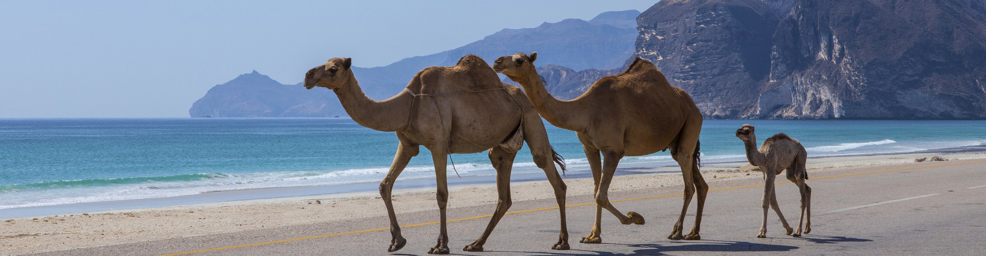 Your Essential Travel Guide to Oman
