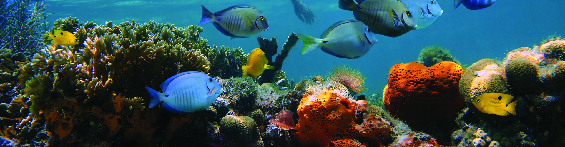 Luxury Jordan Holidays - Destination2.co.uk